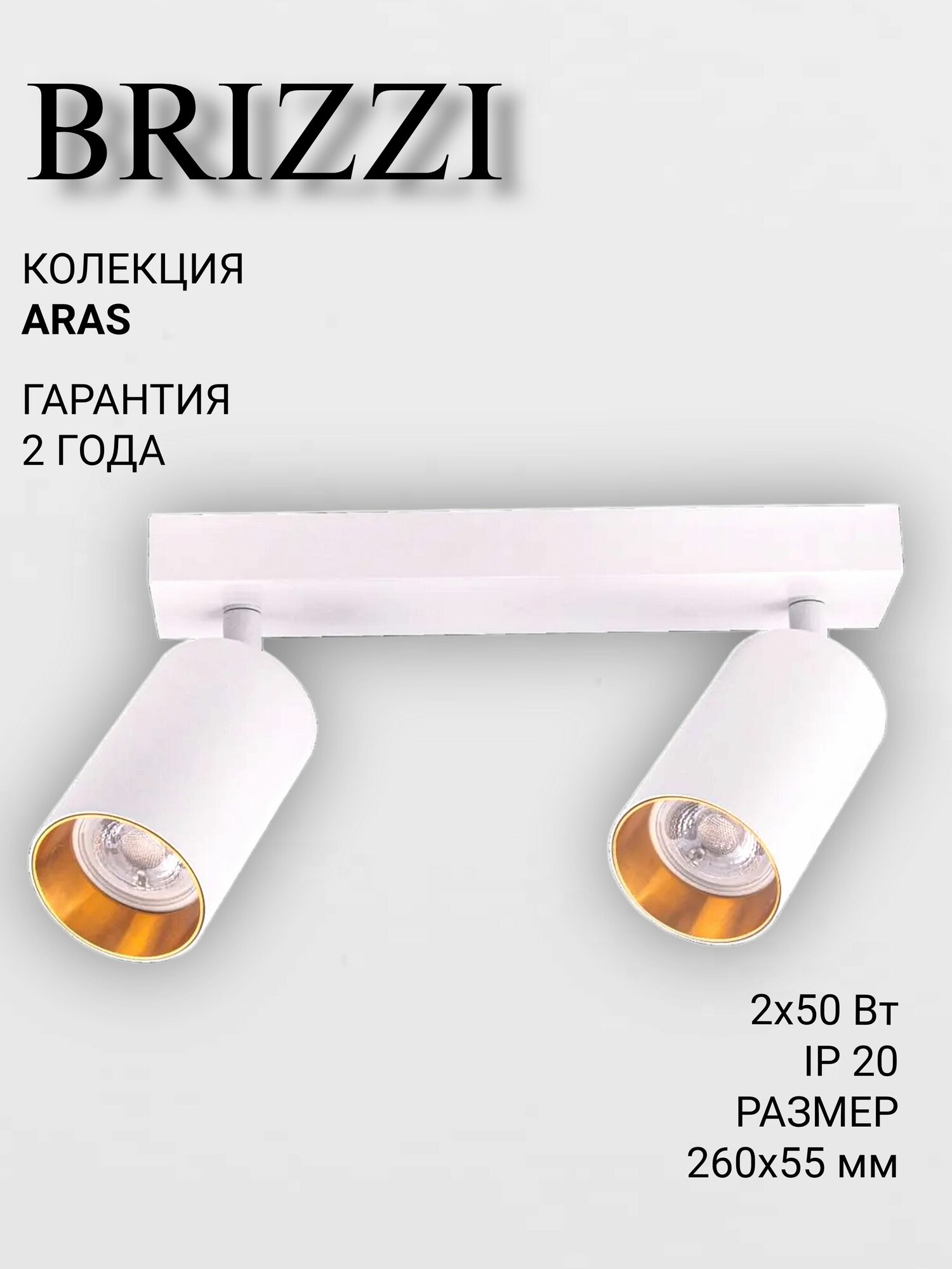Потолочный светильник-спот BRIZZI ARAS BR08084