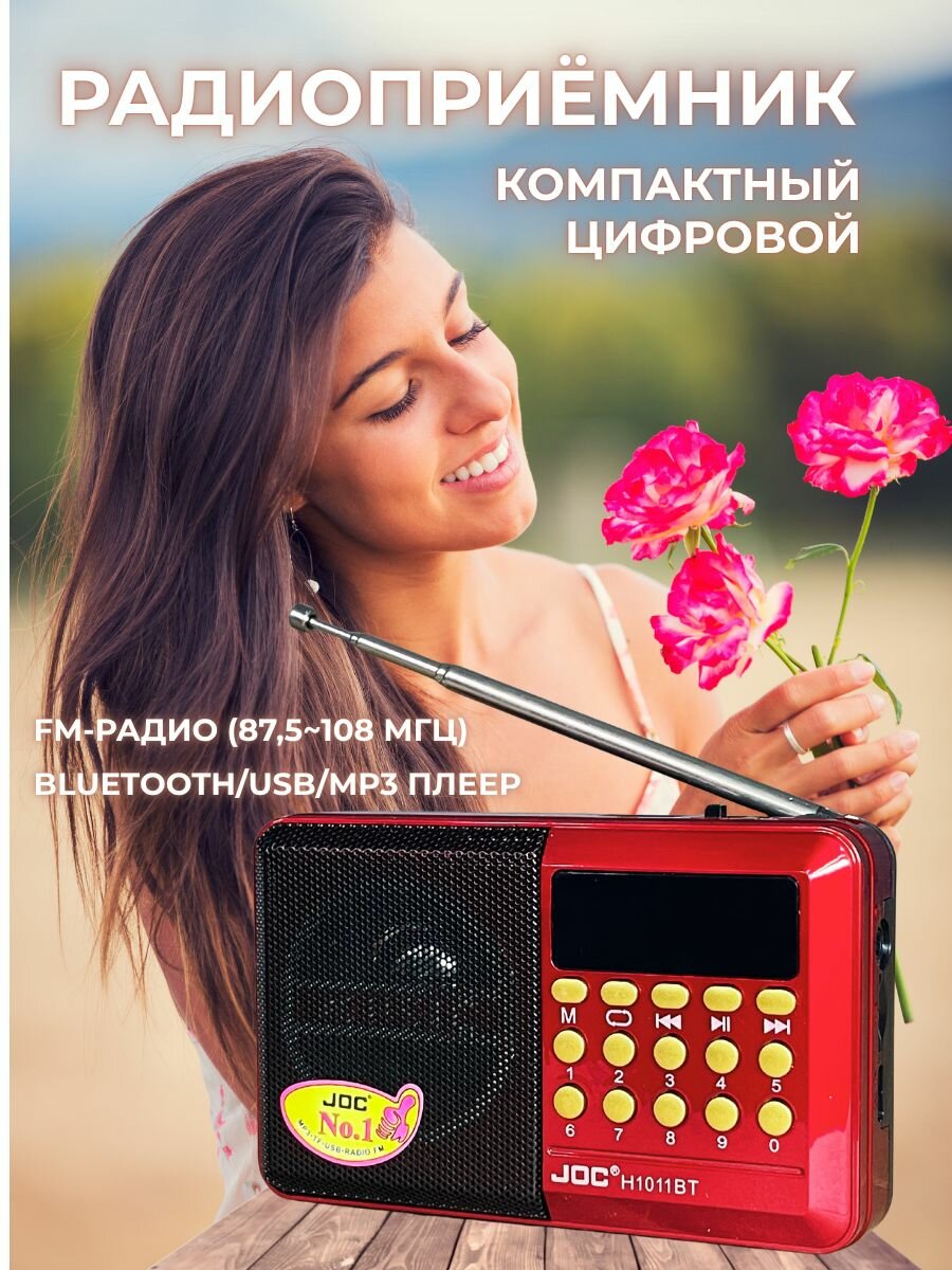 Цифровой Радиоприёмник 1011/Bluetooth/USB/mp3 плеер