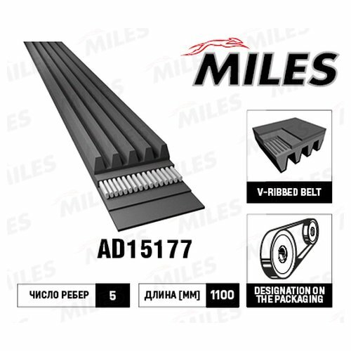Ремень поликлиновой MILES AD15177
