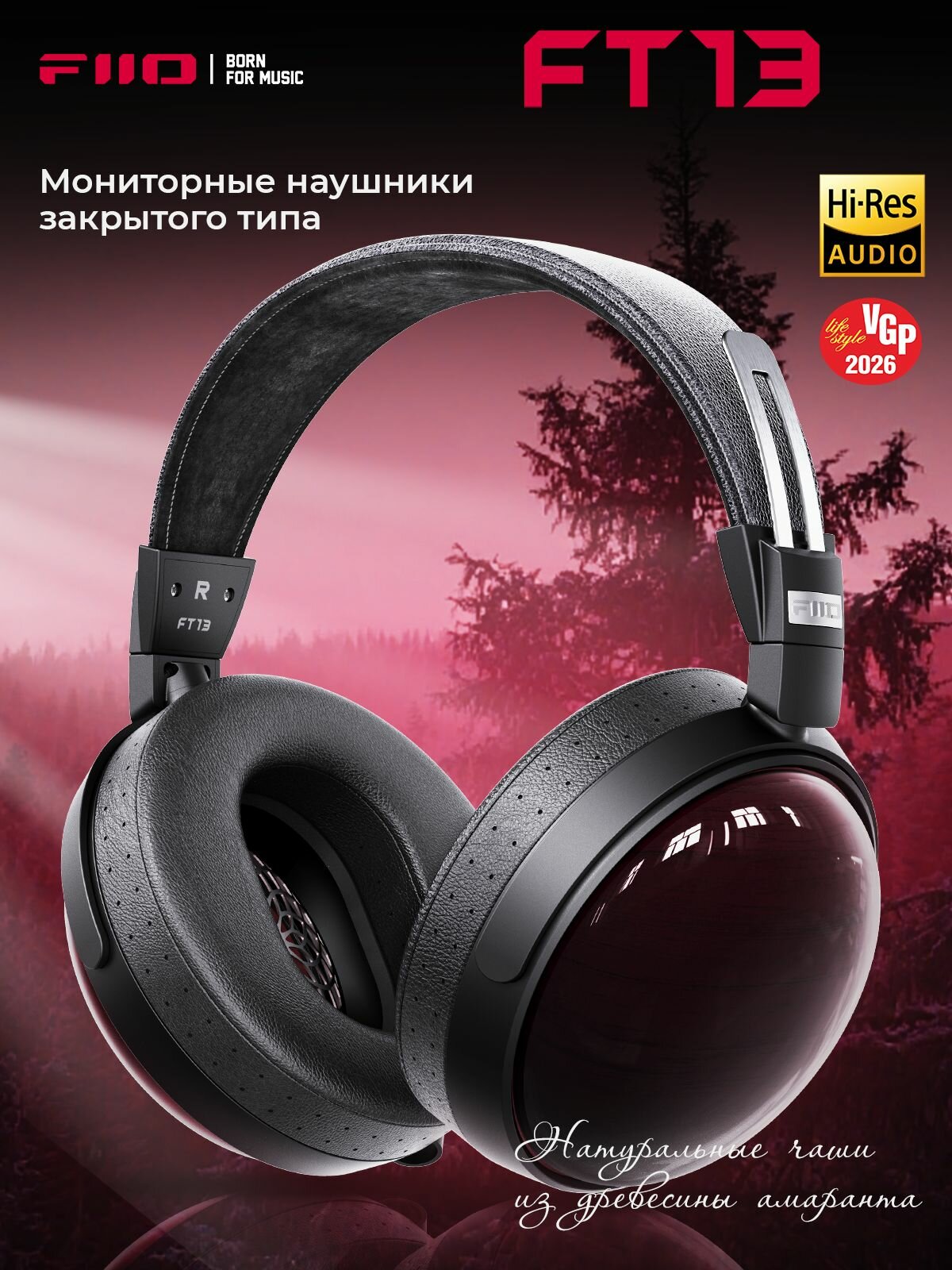 Большие наушники закрытого типа FIIO FT13 Black проводные, для студии
