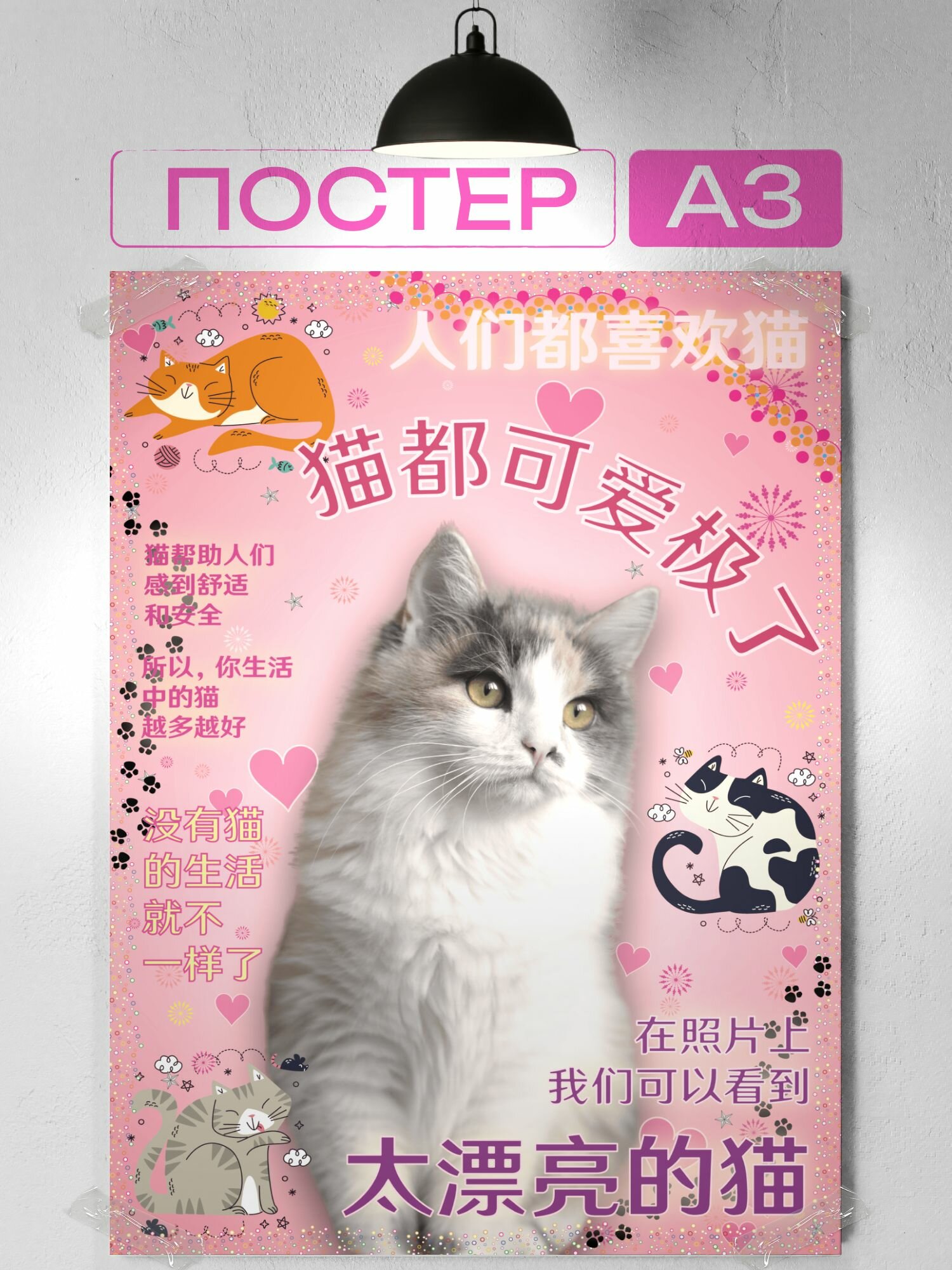 Постер А3 для интерьера котик