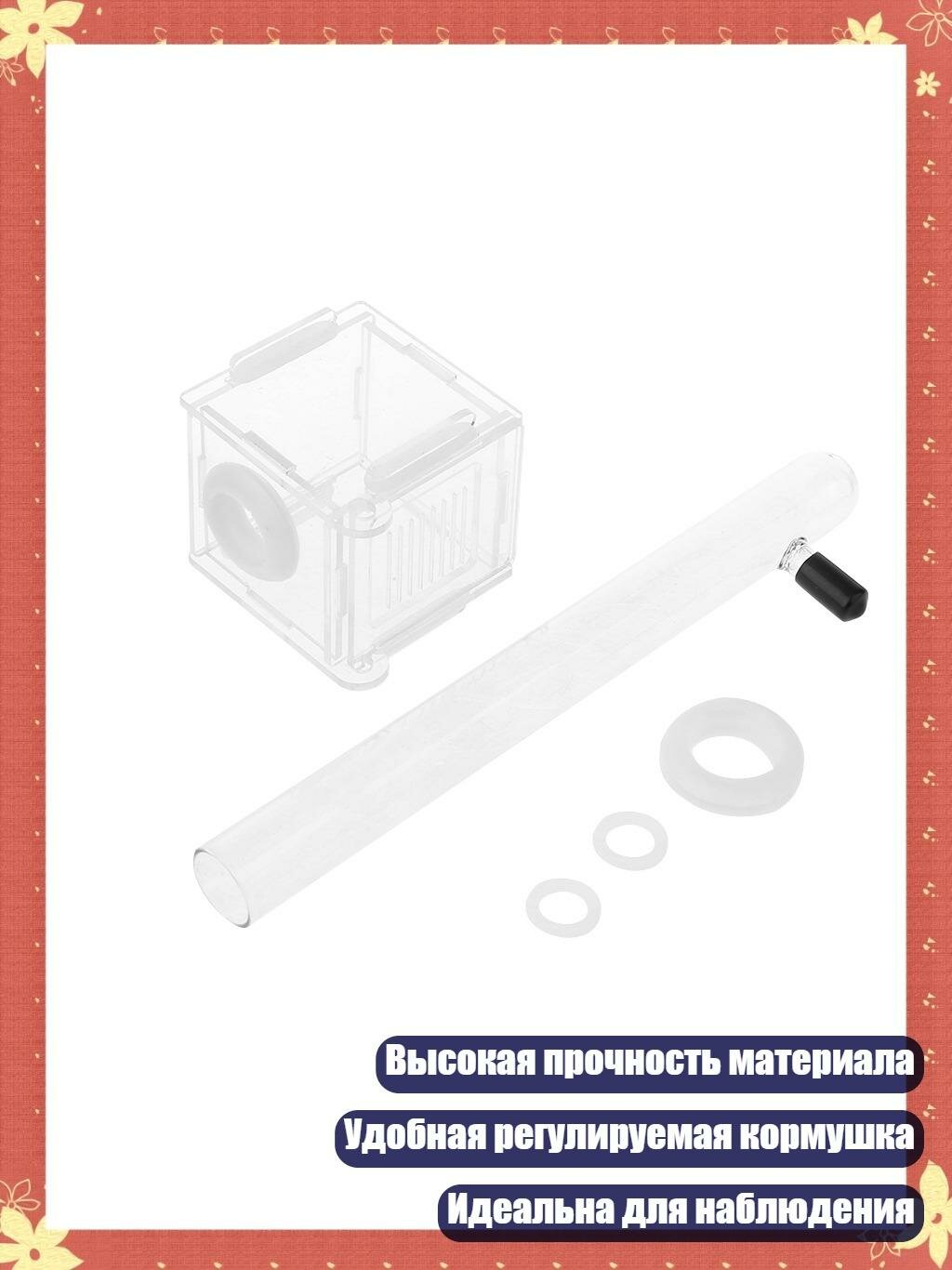 Муравейник в пробирке, Прозрачный