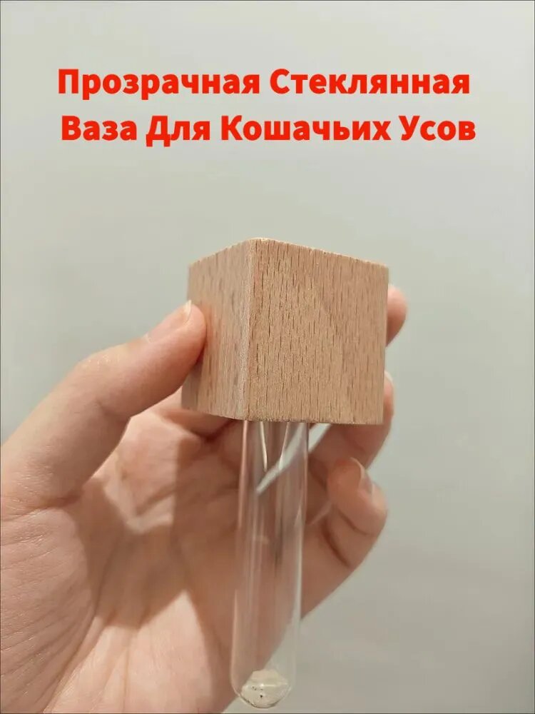 Прозрачная Стеклянная Ваза Для Кошачьих Усов