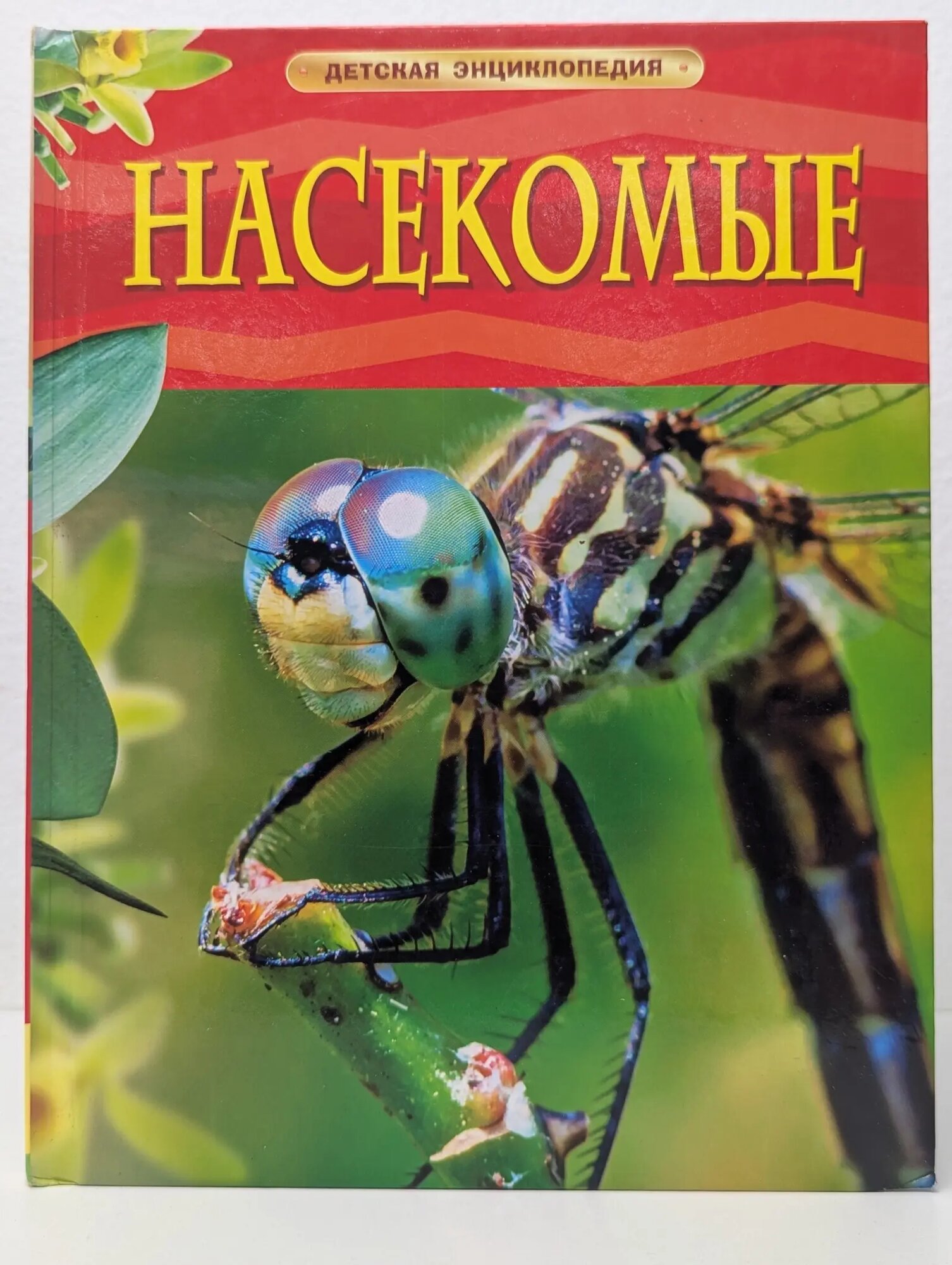 Детская энциклопедия. Насекомые Диккинс Рози 2012