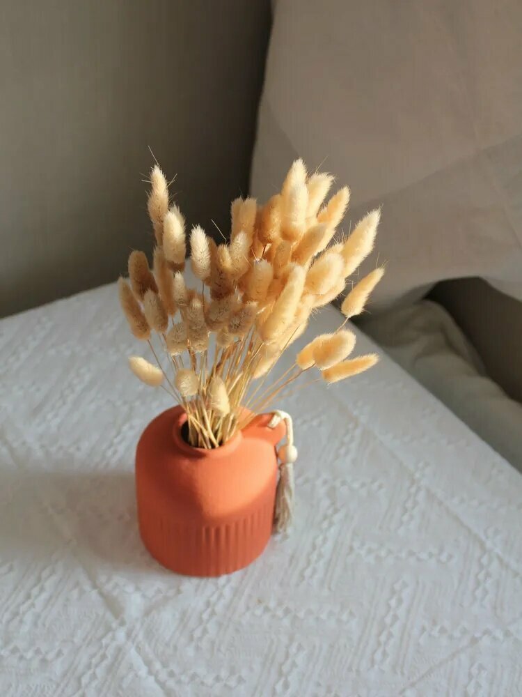 Сухоцветы Лагурус, 35 см, 200 гр, 35 шт