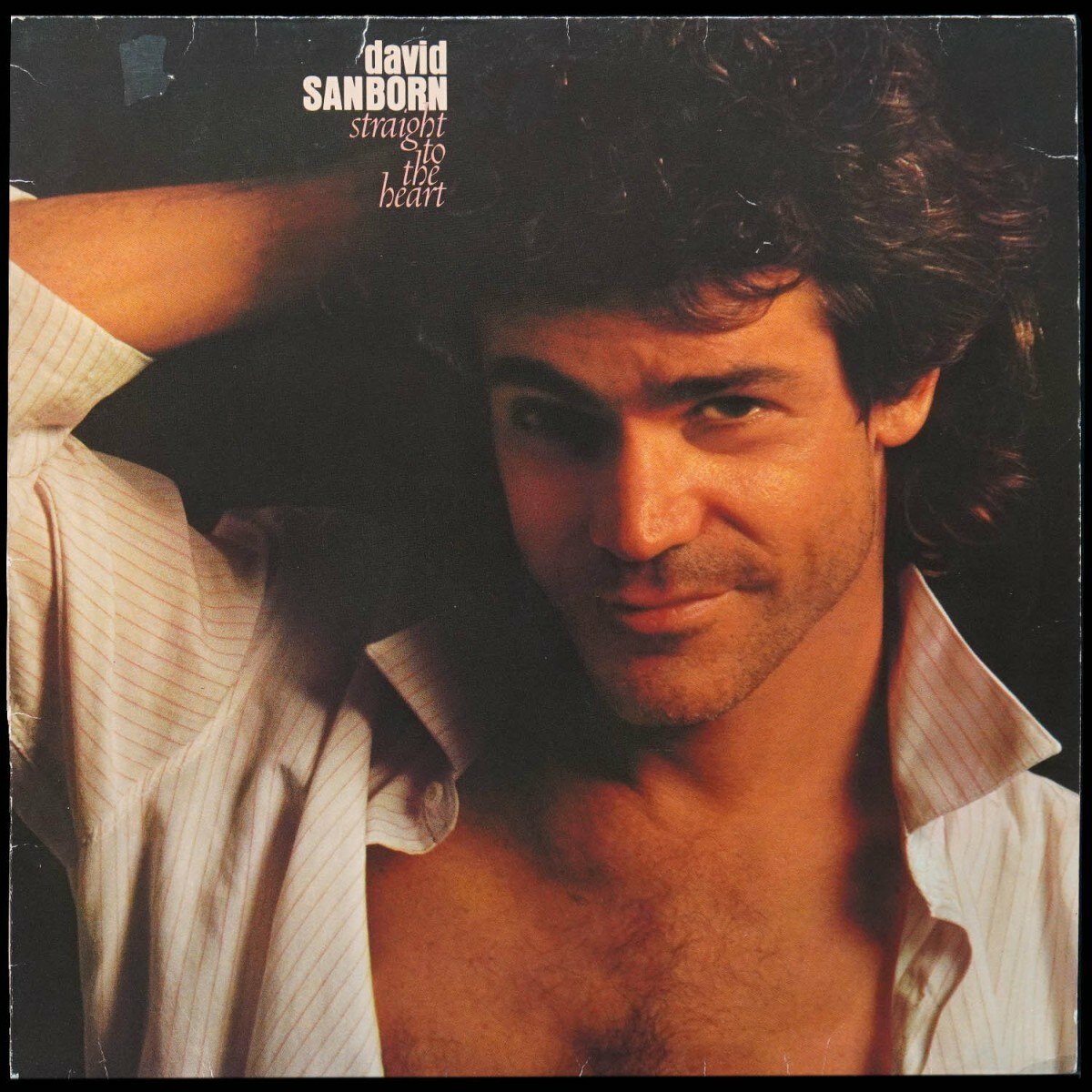 Виниловая пластинка Warner Bros. David Sanborn – Straight To The Heart