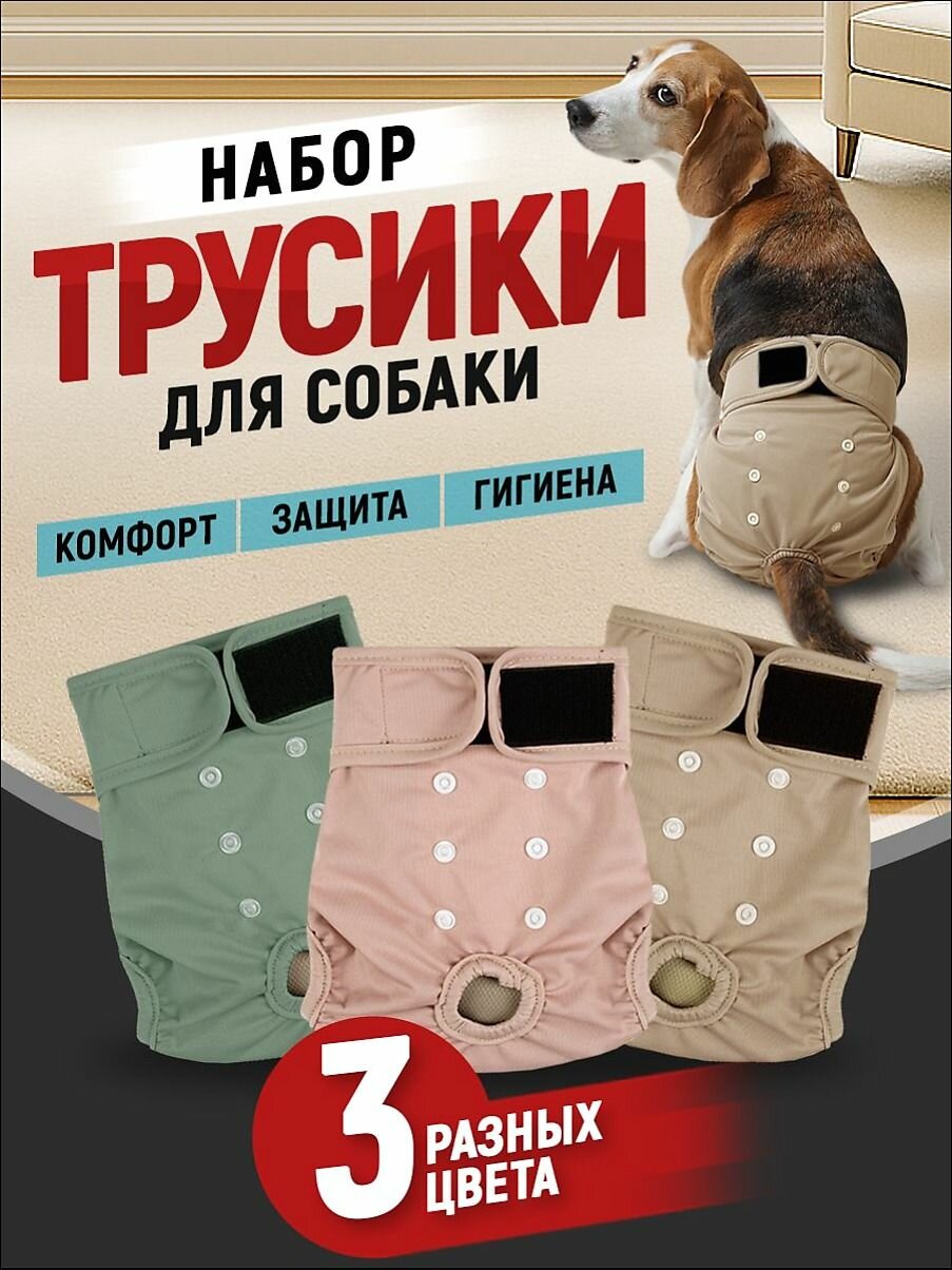 Трусы для собак при течке многоразовые, трусики для собак многоразовые, 3 шт, XL.