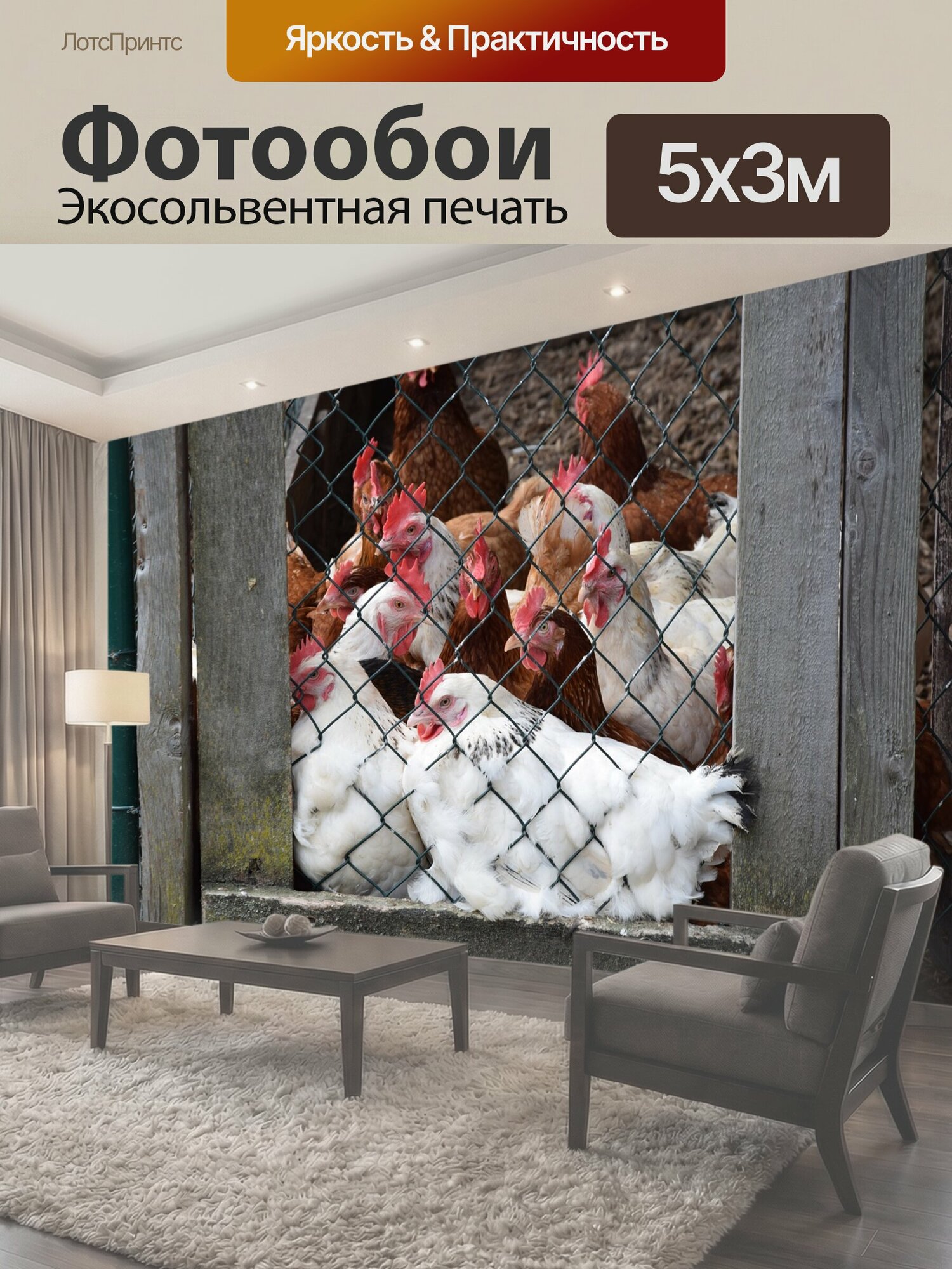 Фотообои "Курица, курятник, сетка" 500x300 см. экосольвентная печать
