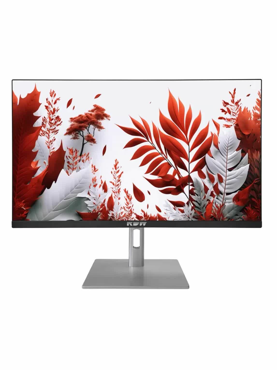 Монитор RDW RDW2407, 23,8", IPS, 1920 x 1080, 120 Гц, черный/серебристый