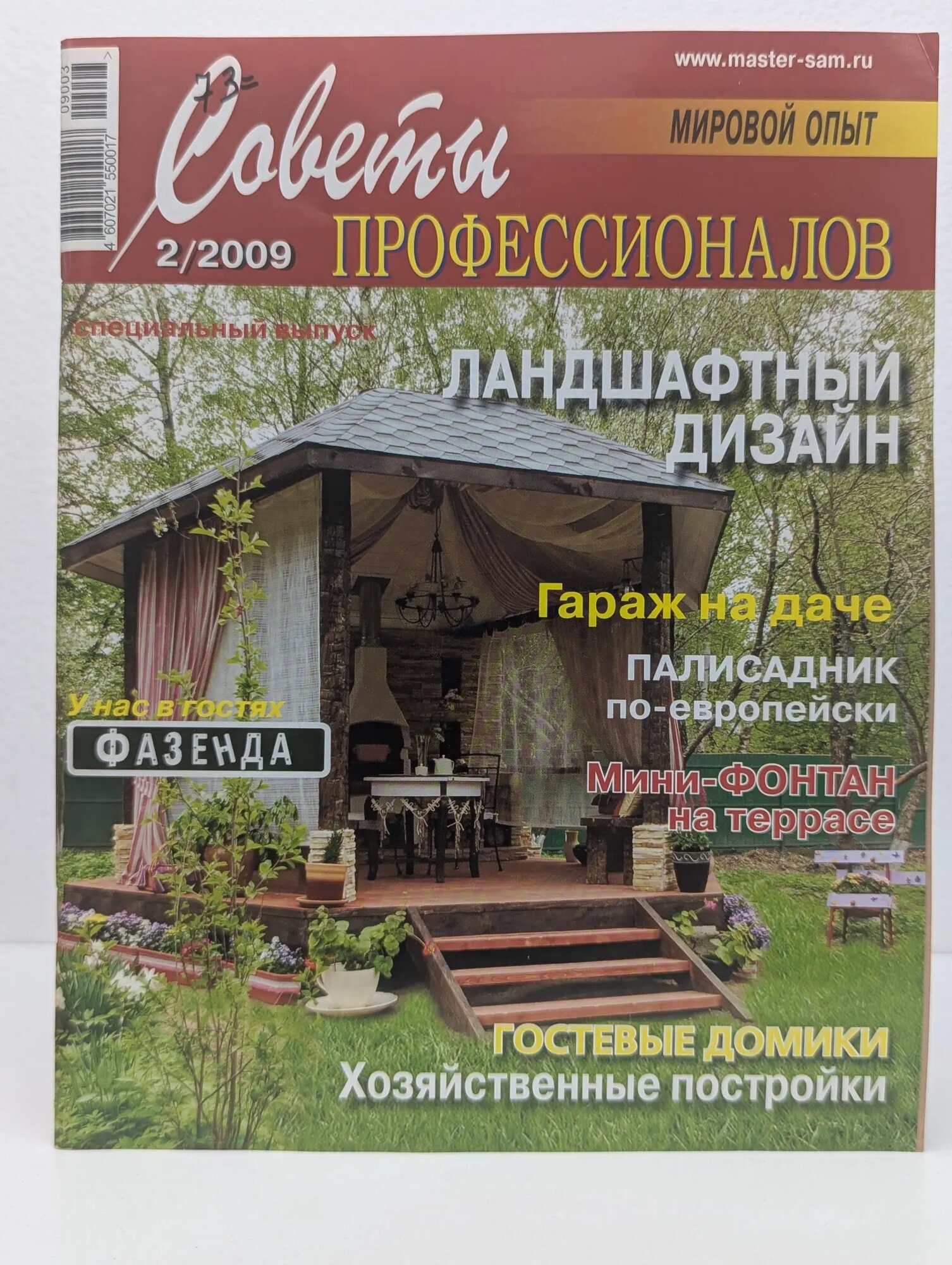 Советы профессионалов. Выпуск № 2/2009 Сборник 2009