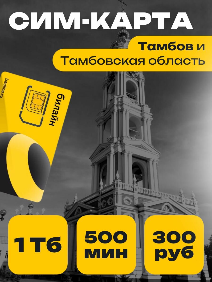 Сим-карта Билайн тариф Эксклюзивный Тамбовская область 1000 Гб + 500 минут за 300 руб.
