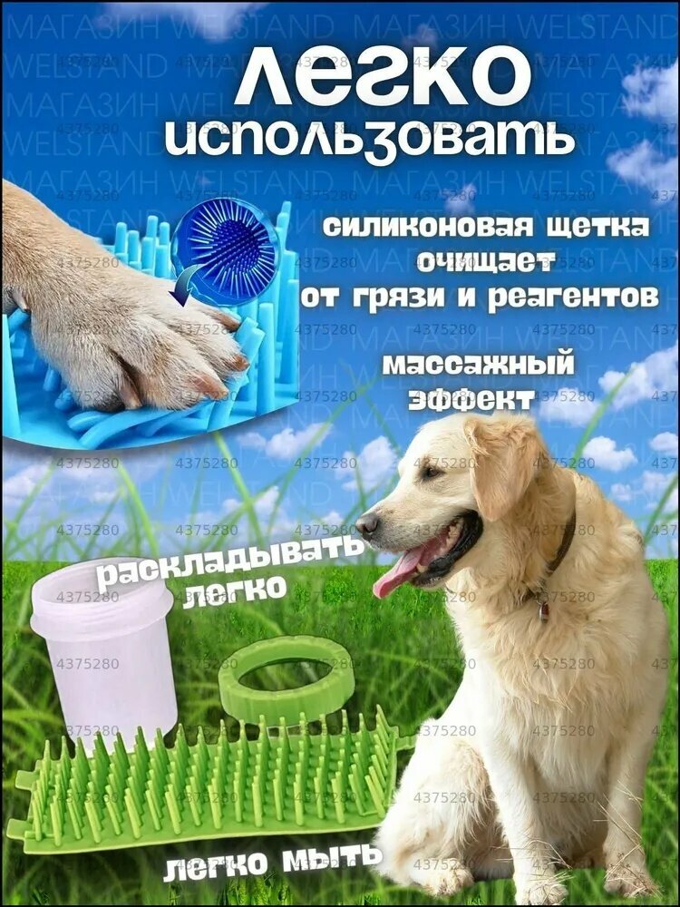 Лапомойка — фото 1