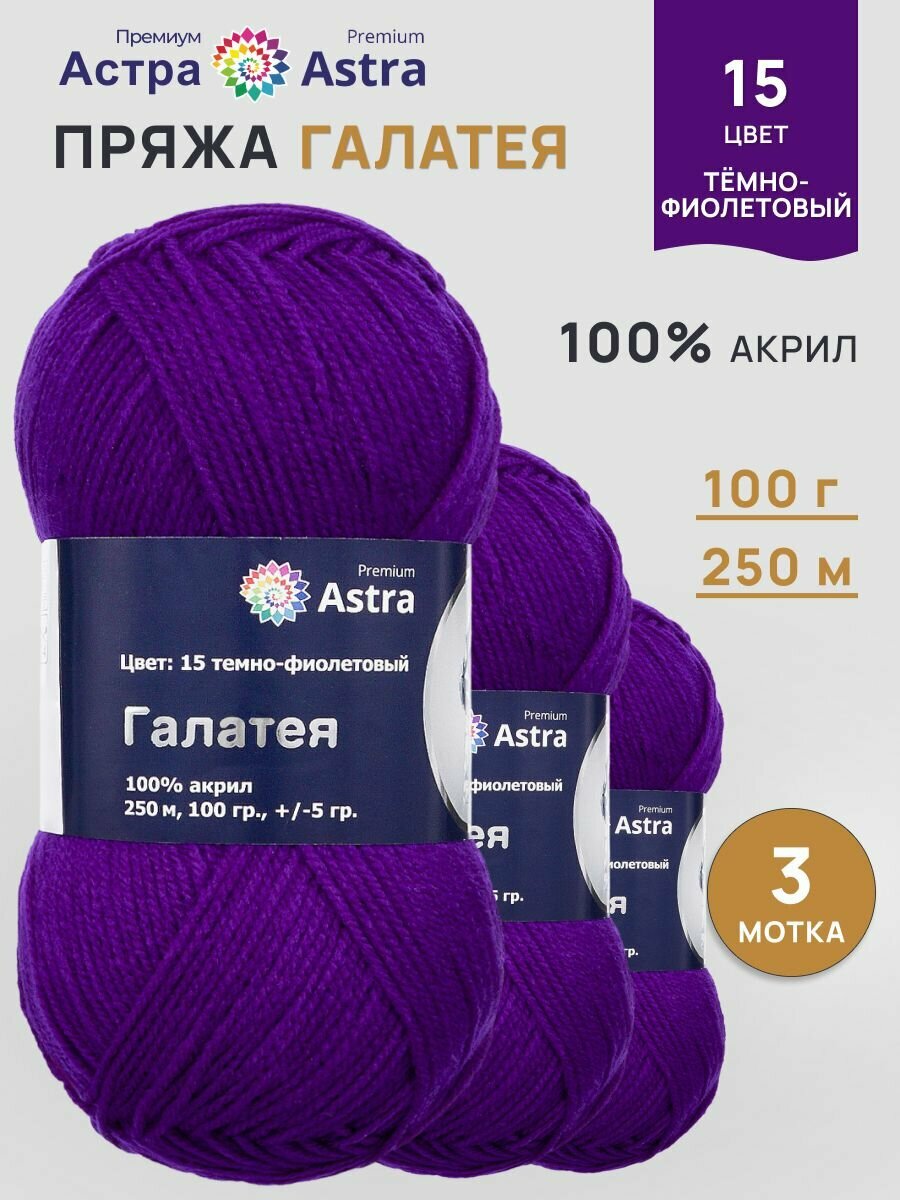 Пряжа для вязания Astra Premium 'Галатея' 100г, 250м (100% акрил) (15 темно-фиолетовый), 3 мотка