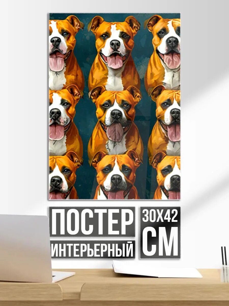 Постер на стену Американский стаффордширский терьеры