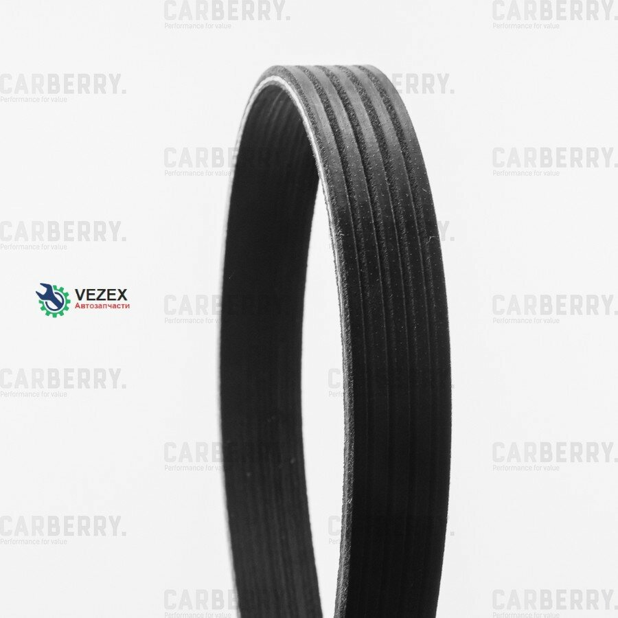 CARBERRY 5PK1645 Ремень поликлиновой