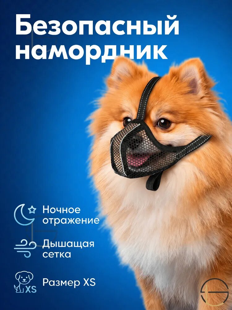 Намордник для собак мелких пород светоотражающий, дышащая сетка от укусов и подбора, размер XS (шпиц, чихуахуа)