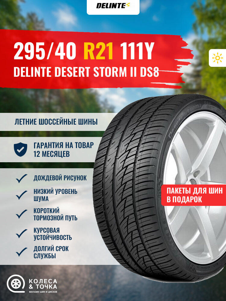 DELINTE DESERT STORM II DS8 295/40R21 111Y (лето) (311802)