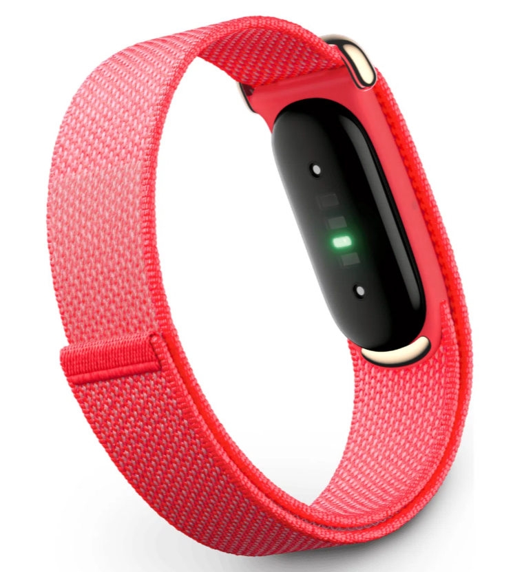 Фитнес-браслет Google Fitbit Air Berry — фото 1