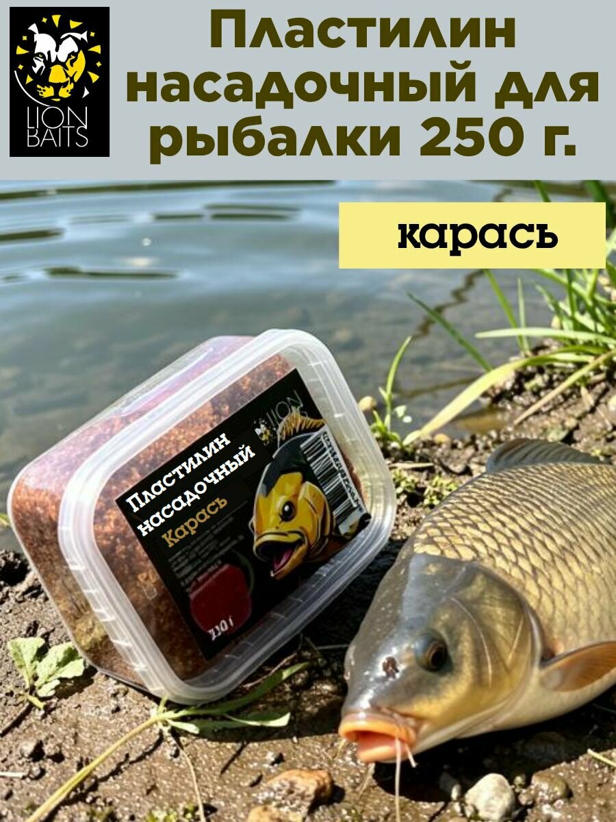 Пластилин для рыбалки насадочный, LION BAITS карась. Готовая прикормка, 250 г.