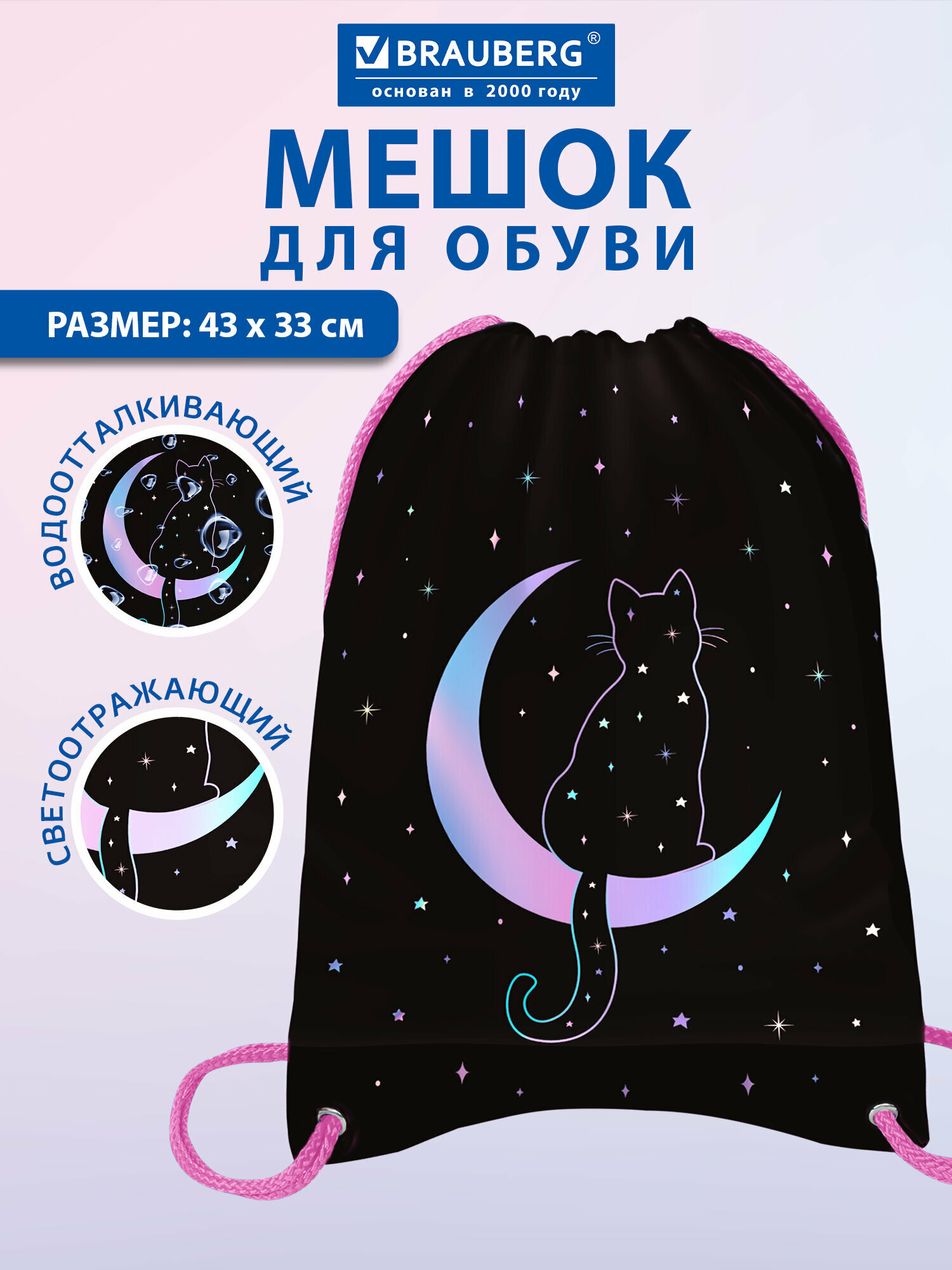 Мешок для обуви, сумка для сменки в школу, чехол детский плотный с карманом и подкладкой, 43х33 см, Brauberg, 274645