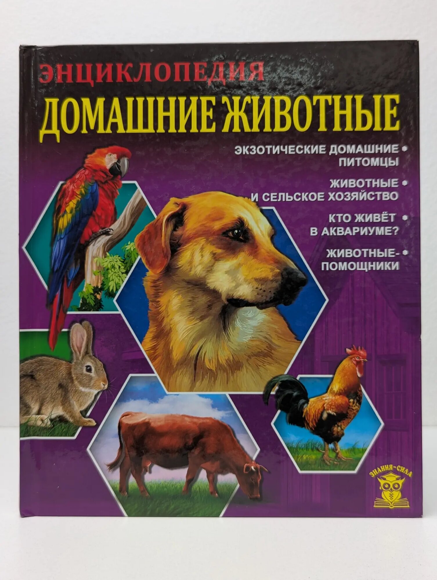 Знание-сила. Энциклопедия. Домашние животные Соколова Ярослава 2017