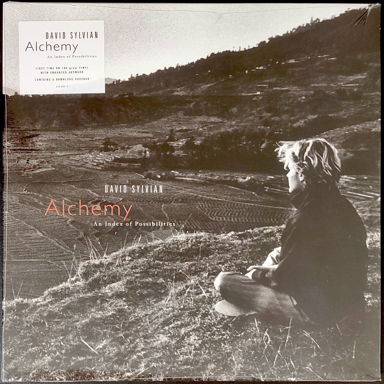 Виниловая пластинка David Sylvian - Alchemy - An Index Of Possibilities (LP, 2019, Universal)