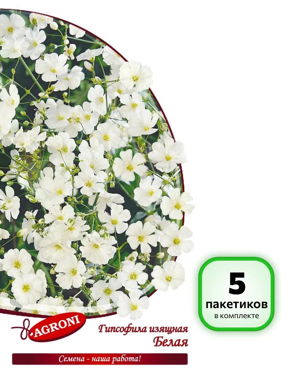 (5 шт.) - Семена Гипсофила белая (0,3г)