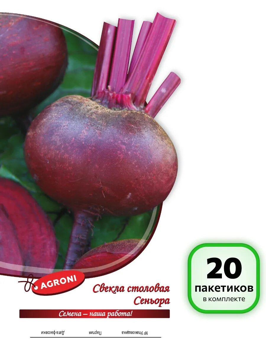 (20 шт.) - Семена Свекла столовая Сеньора (2,0г)