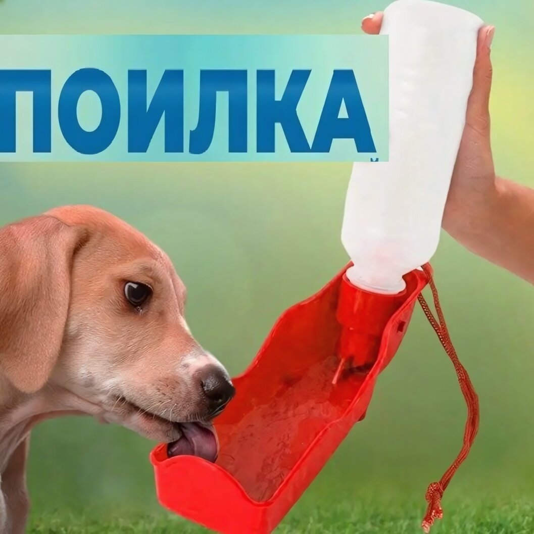 Поилка для домашних животных "любимый БРО" 500 мл с лотком и шнурком, пластик, разноцветный принт