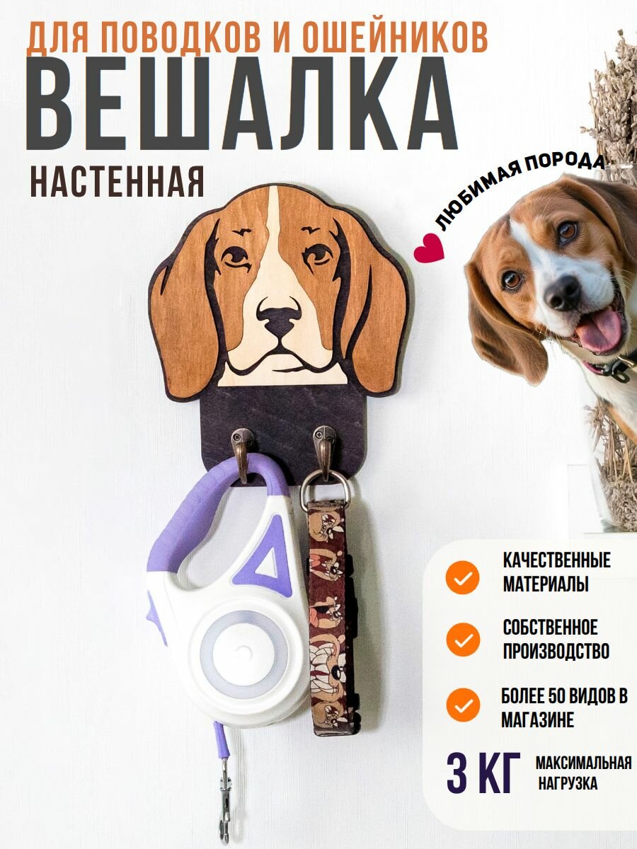 Вешалка для поводков, ключница настенная с собакой Бигль, 2 крючка