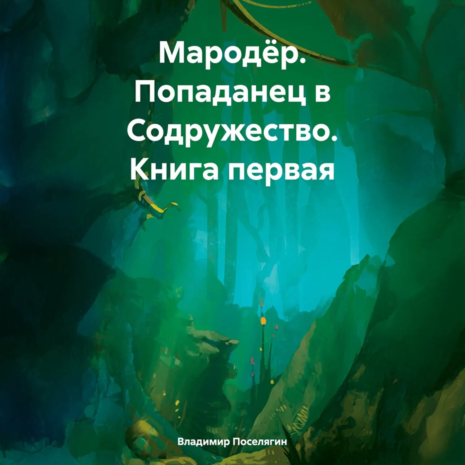 Мародёр. Попаданец в Содружество. Книга первая [Аудиокнига]