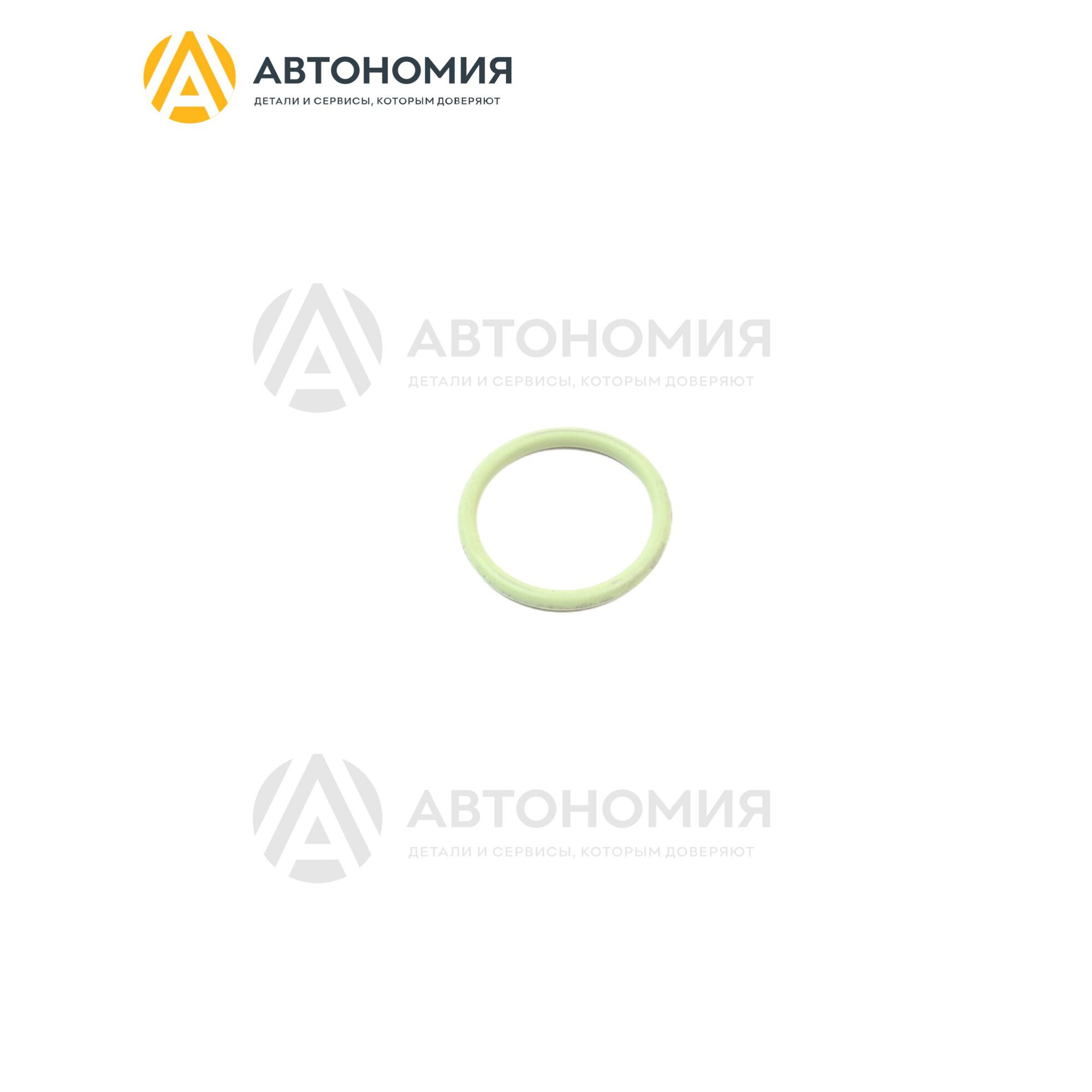 Кольцо уплотнительное направляющей масляного щупа / OPEL General Motors 55587919