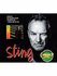 Sting (MP3 Флешка)