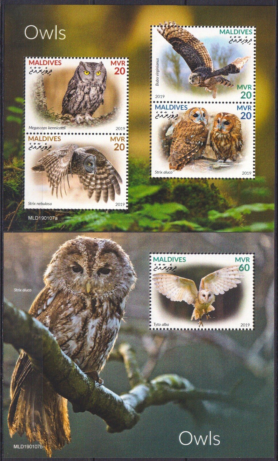 Марки 2019 год Мальдивы Совы Хищные птицы Фауна #8169-72+Bl1299 Mnh