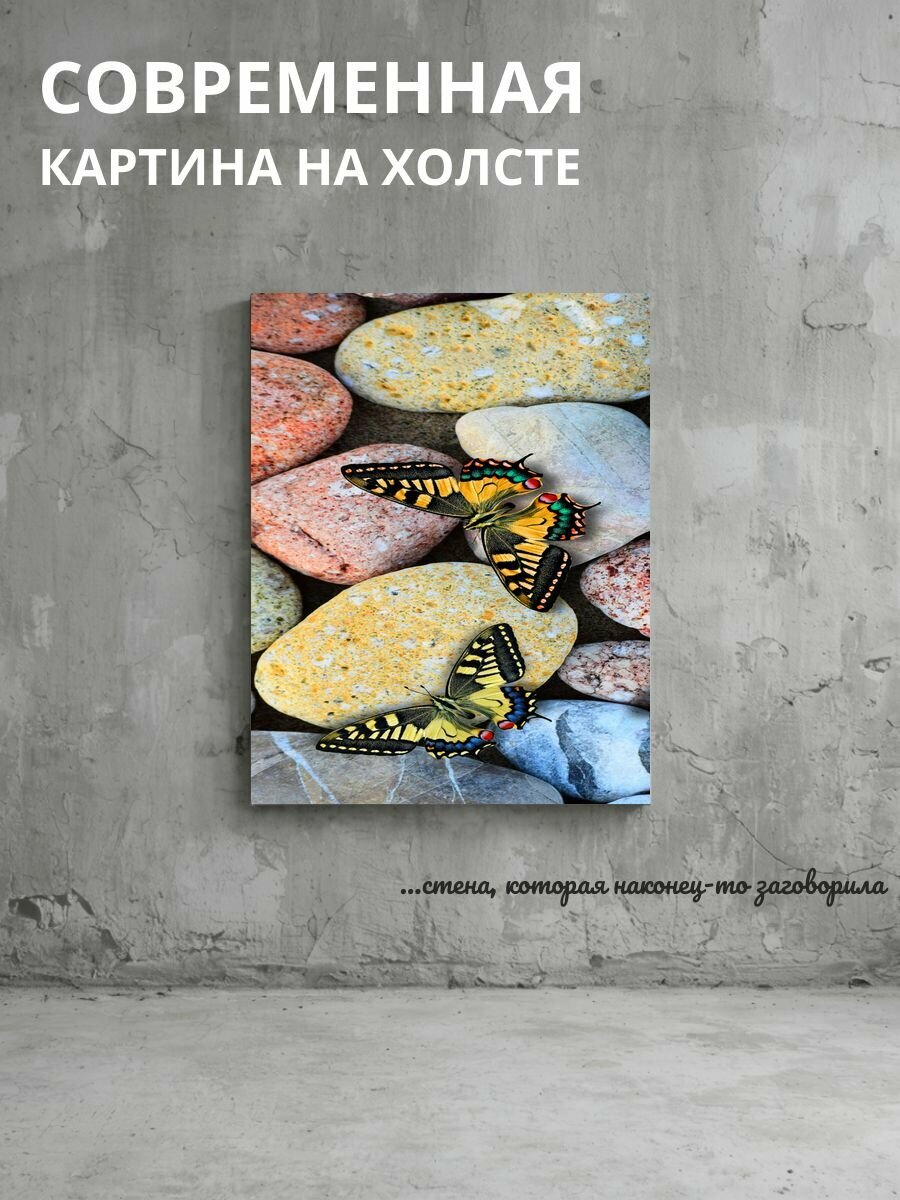 Картина на холсте Бабочки 30x40 см