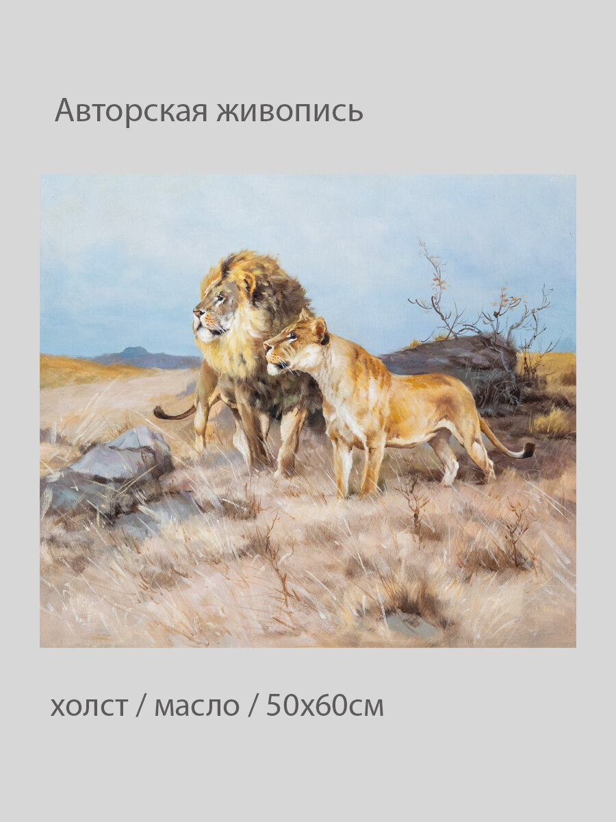 Картина маслом "Львы на равнинах Африки" 50х60см