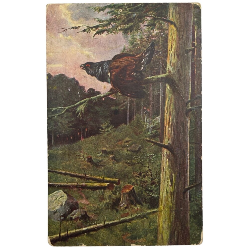 Почтовая открытка "За секунду до выстрела" 1900-1917 гг. Германская Империя