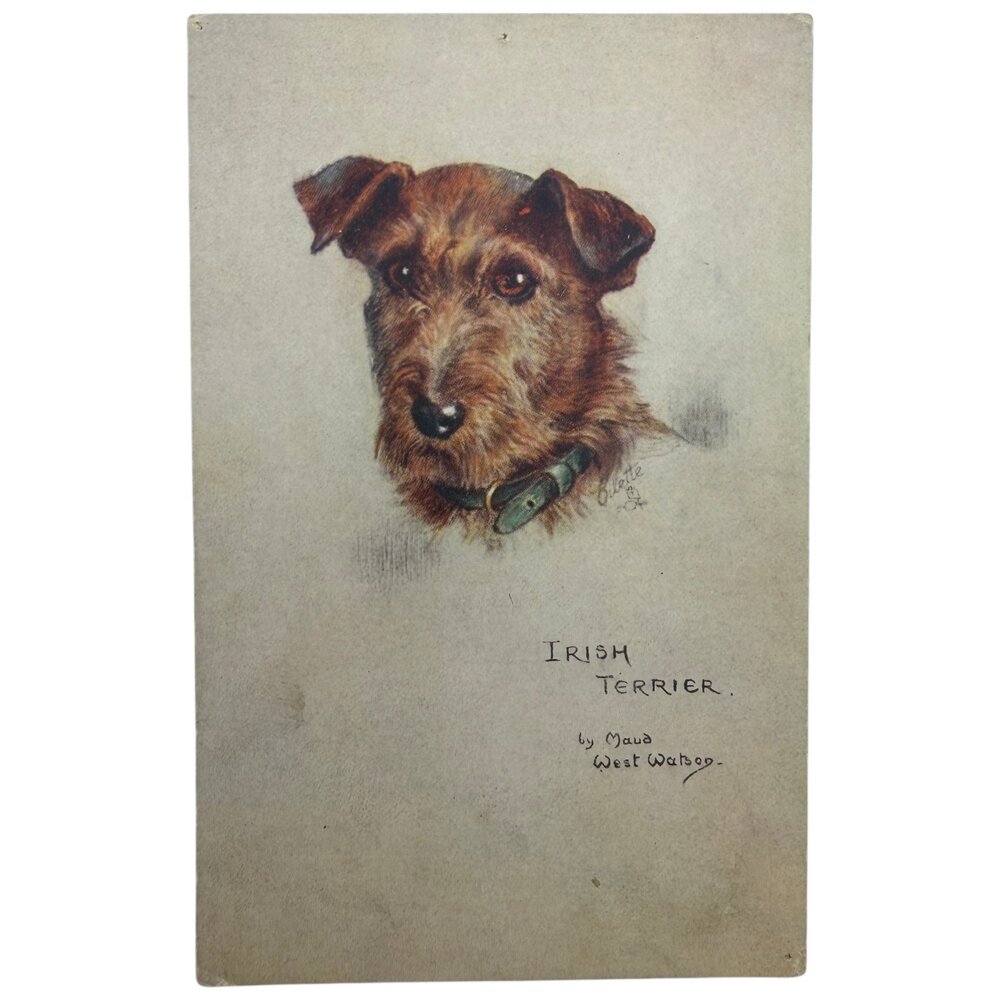 Почтовая открытка "Терьер - Oilette" 1905-1915 гг. Raphael Tuck & Sons. Великобритания