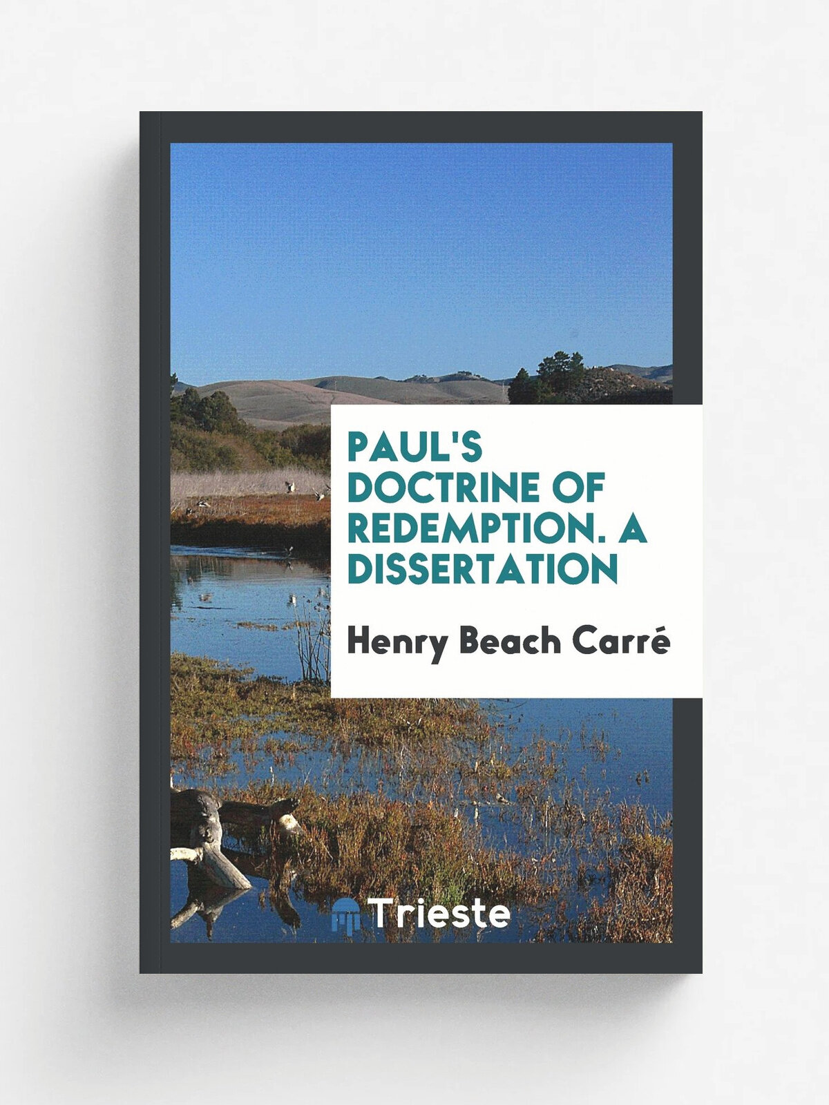 Paul's doctrine of redemption. A Dissertation