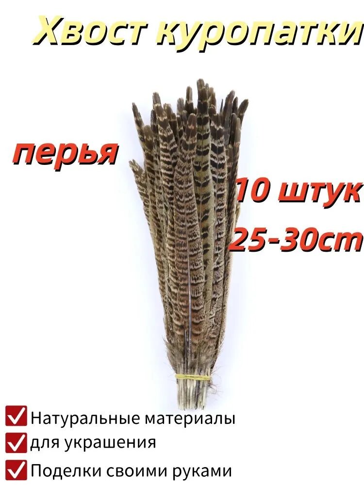 Хвостовые перья фазана (самка) 25-30 см натуральные 10 шт для рукоделия и декора