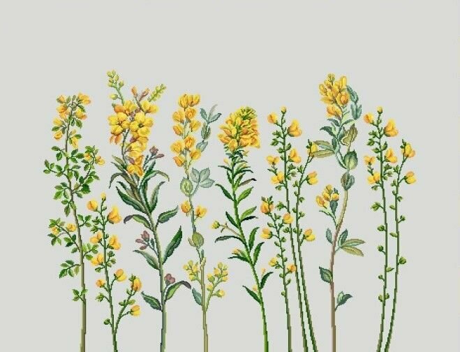 Комплект салфеток гобеленовые Le Gobelin Зверобой серый фон 35х45 см