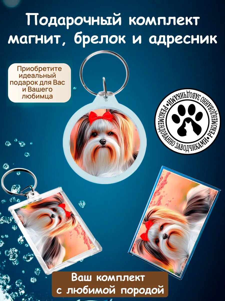 Подарочный комплект магнит брелок адресник