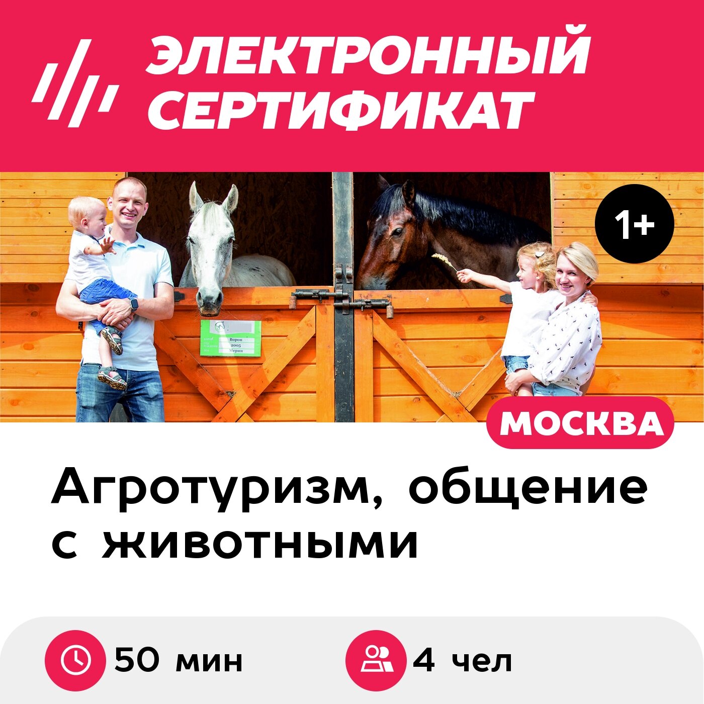 Подарочный сертификат Индивидуальная экскурсия на конюшню и катание верхом, до 4 чел. (50 минут)