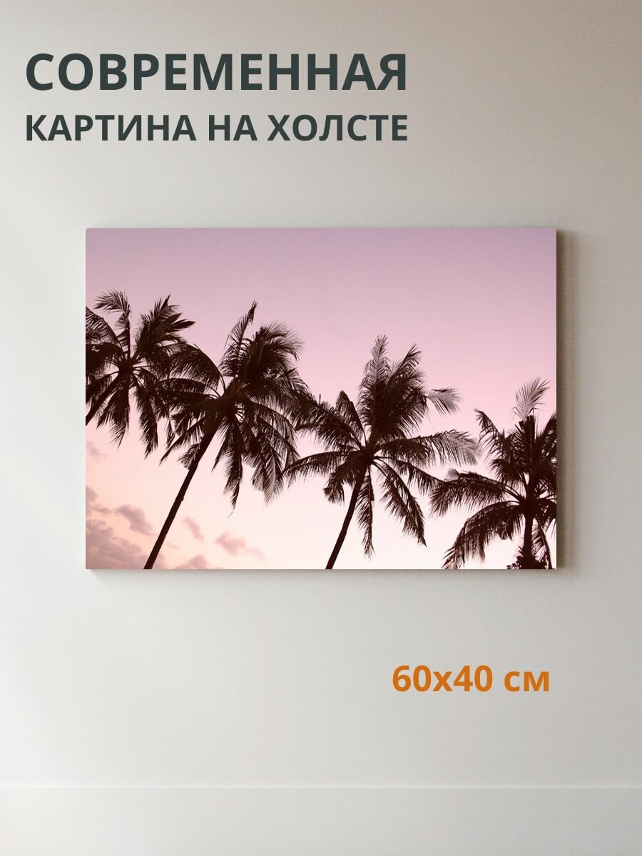 Картина на холсте Пальмы 60x40 см