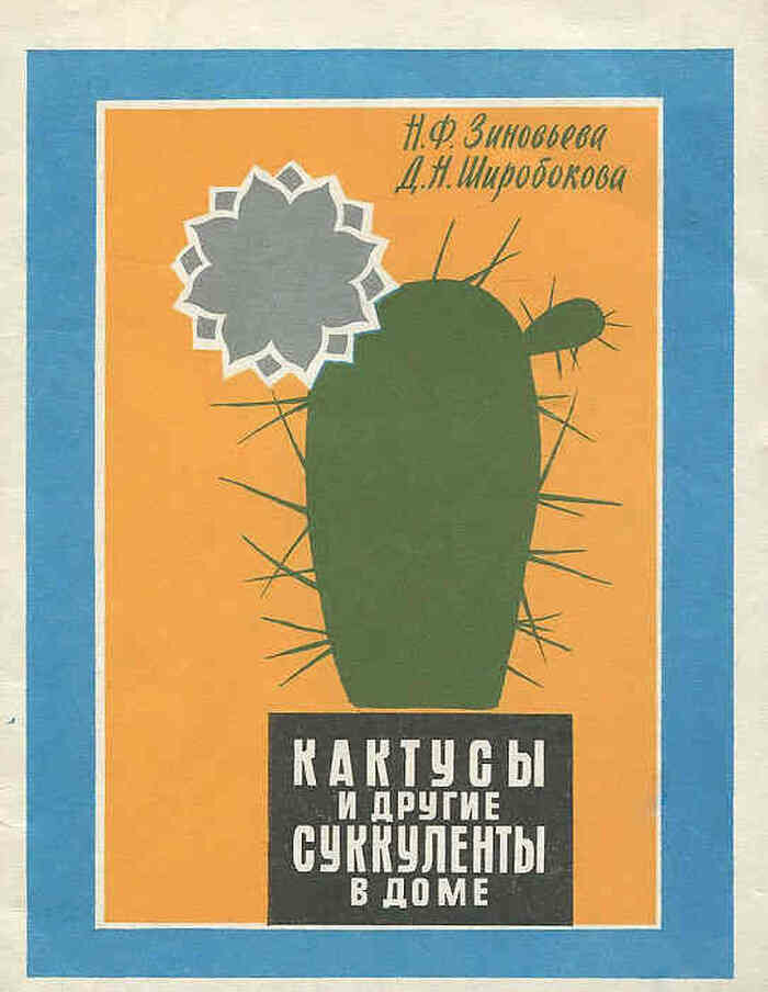 Кактусы и другие суккуленты в доме