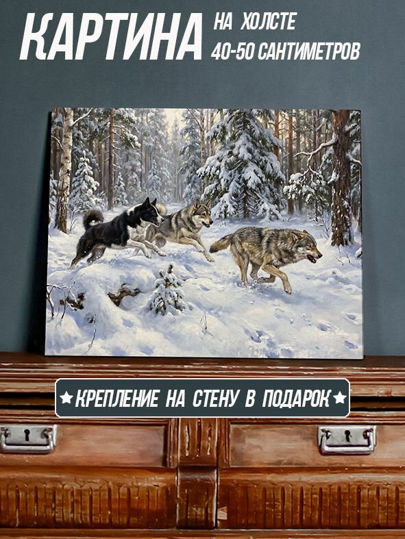 Картина охота на волка с сибирскими лайками на фоне зимнего леса горизонтальный 40х50см