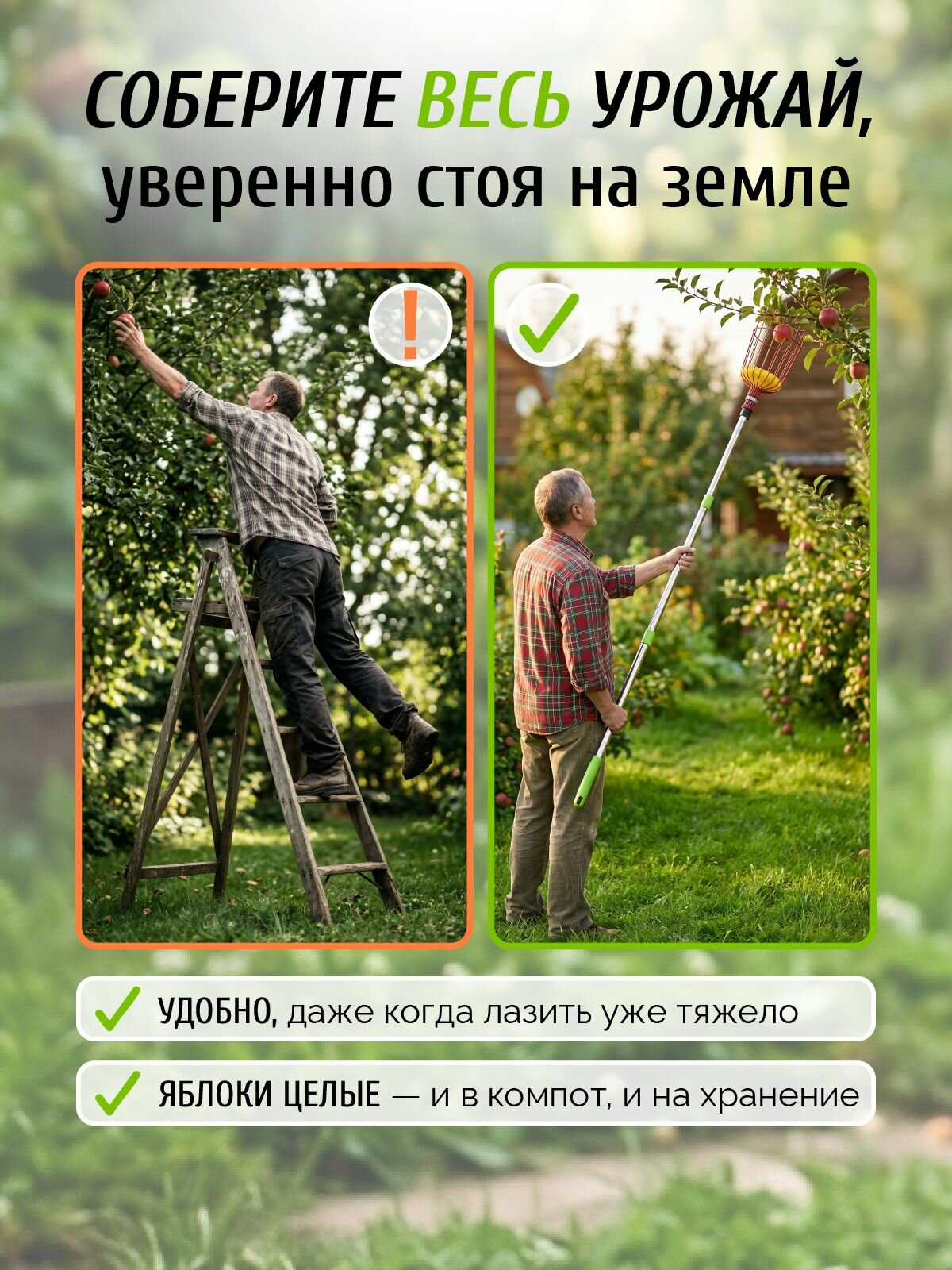Плодосборник 3,2м — фото 1