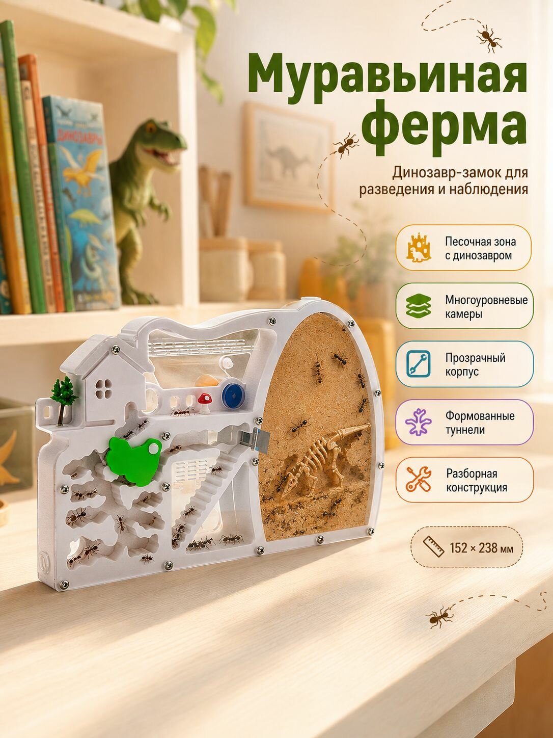 Муравьиная ферма, прозрачный корпус, арена и внешнее увлажнение, размер 152 x 238 мм