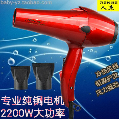Renjie Hair Dryer Rcy-2200W 837A Professional High-Power Hot and Cold Air Ac Copper for Barber Shops Renjie 837A