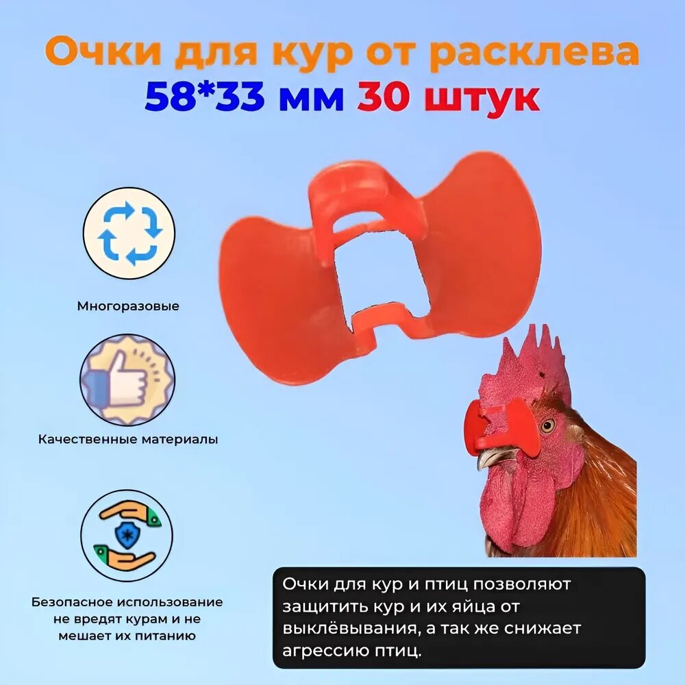 Очки от расклева для птиц